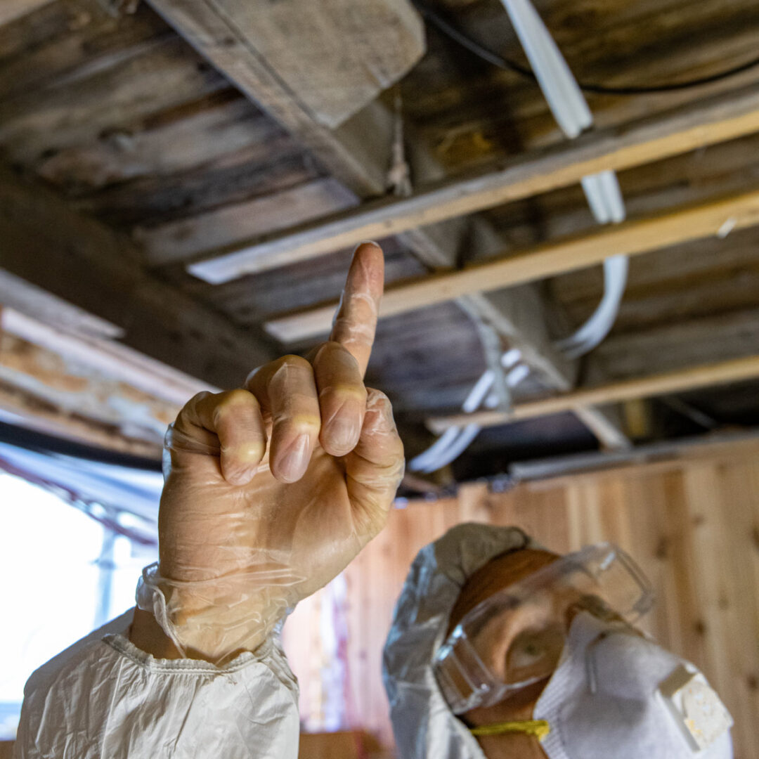How many of these mold myths do you believe? | Indoor Environmental ...